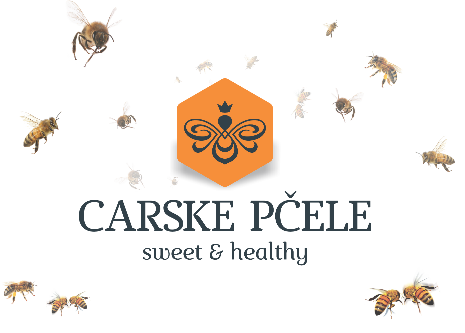 Med - Polen - Propolis - Otkup meda - CARSKE PČELE